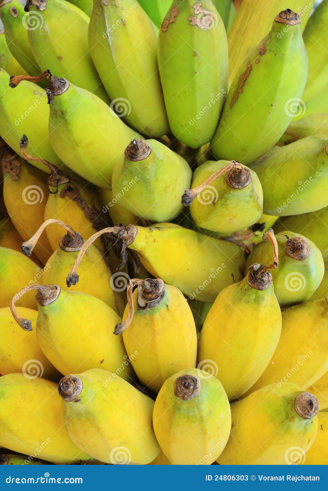 Bunch of ripe banana stock image. Image of food, freshness - 24806303