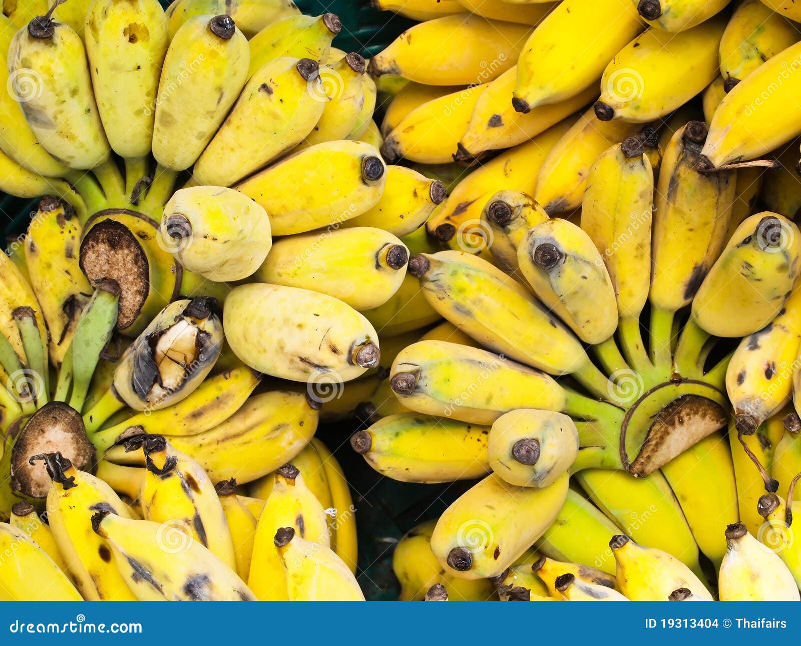 Bunch of Ripe Bananas stock photo. Image of bananas, color - 19313404