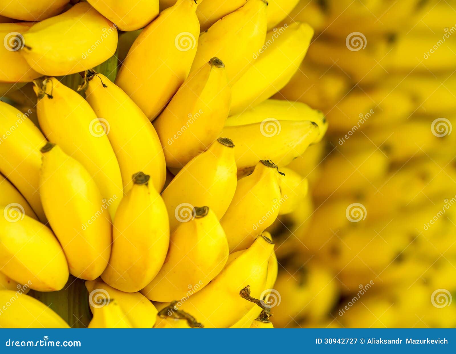 Bunch of ripe bananas stock image. Image of juicy, multiple - 30942727