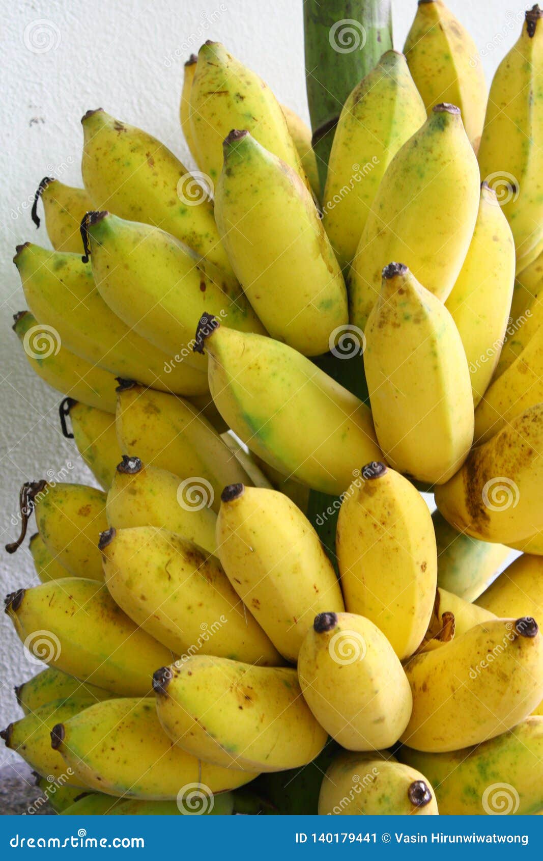 Bunch of ripe bananas stock image. Image of health, green - 140179441