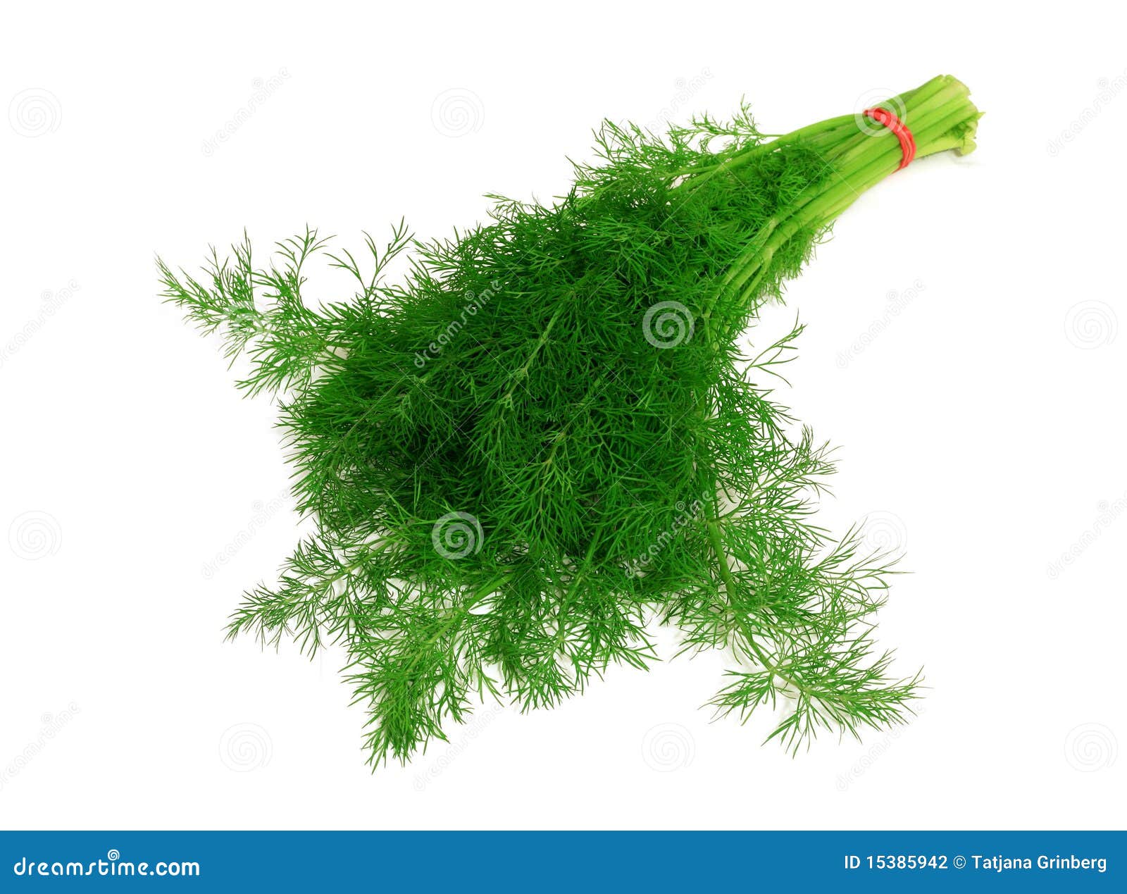 18,737 Ripe Dill Stock Photos - Free & Royalty-Free Stock Photos from ...