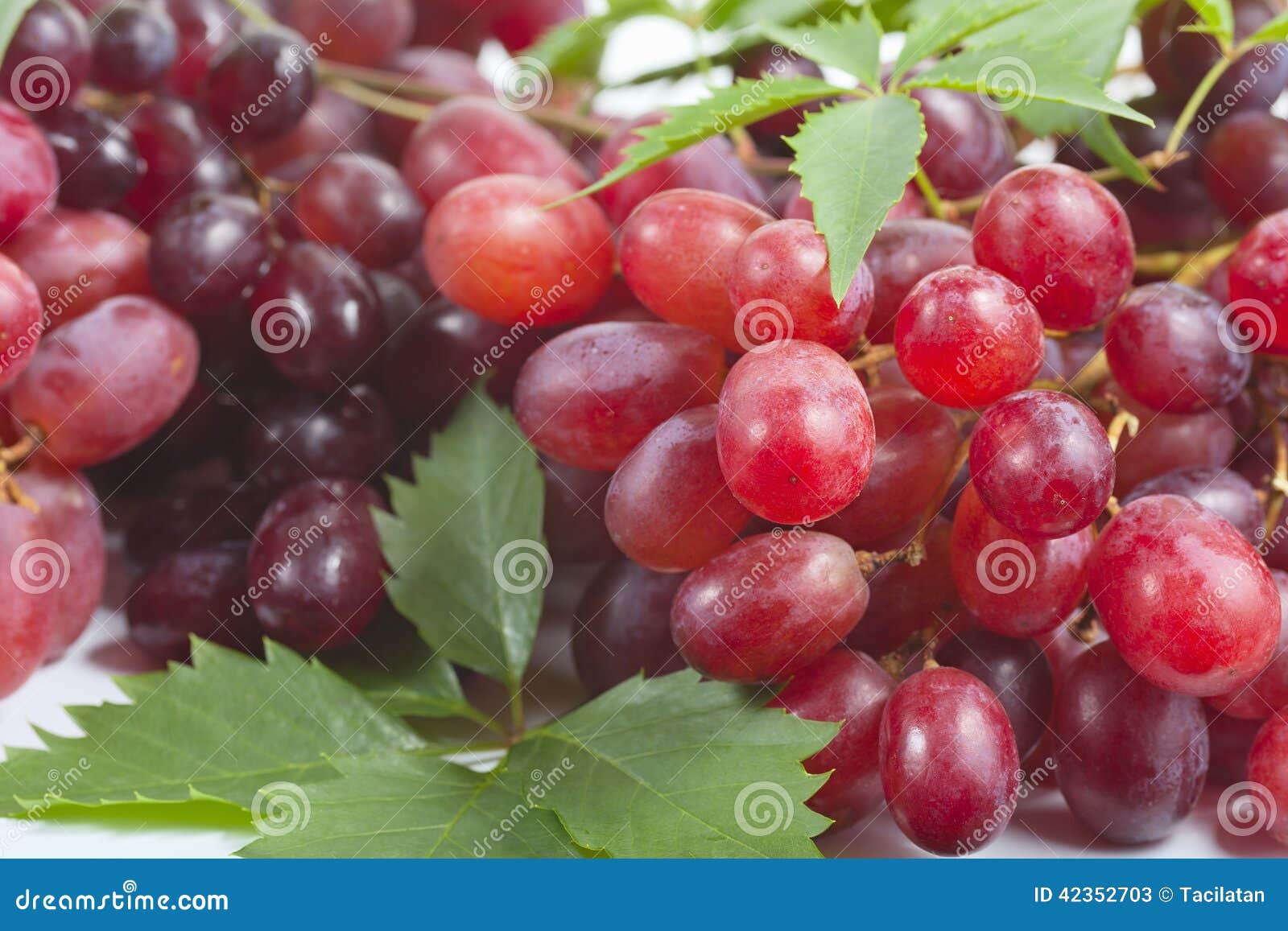Bunch Ripe, Fresh Red Grapes with Leaves. Stock Image - Image of bunch ...