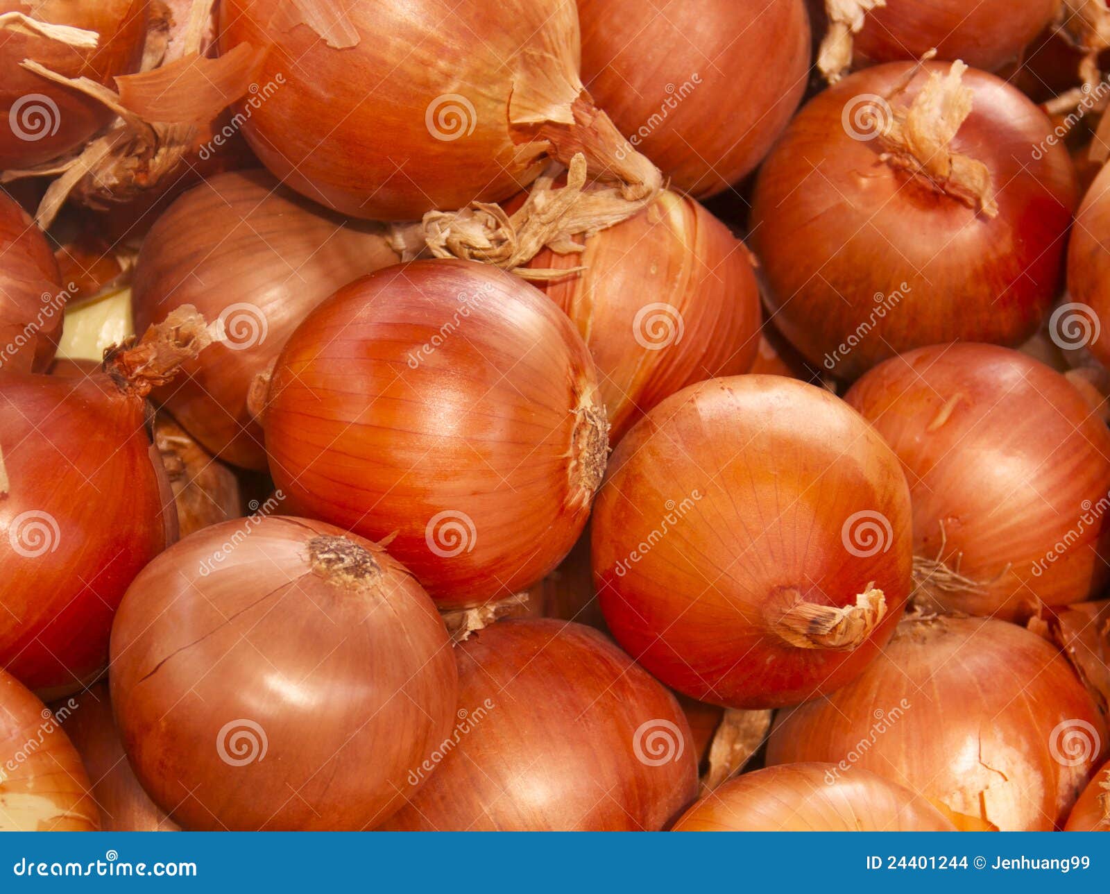 Bunch of Ripe Onion stock photo. Image of harvest, white - 24401244