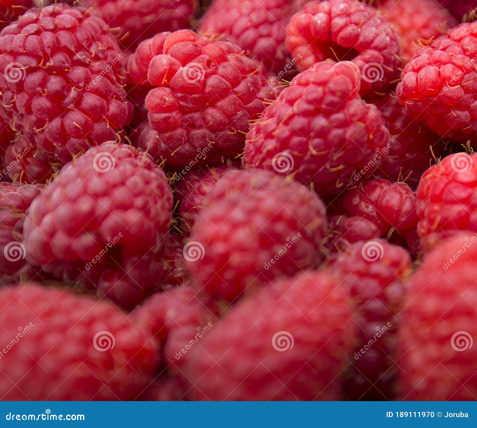 Bunch of ripe raspberry stock photo. Image of natural - 189111970