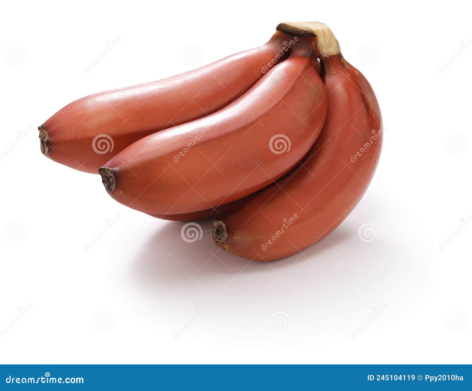 A bunch of ripe red banana stock image. Image of organic - 245104119