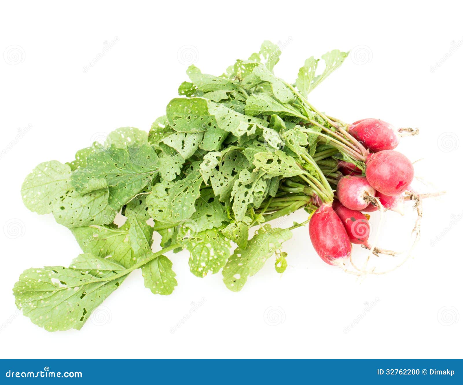 Bunch of ripe red radish stock photo. Image of isolated - 32762200