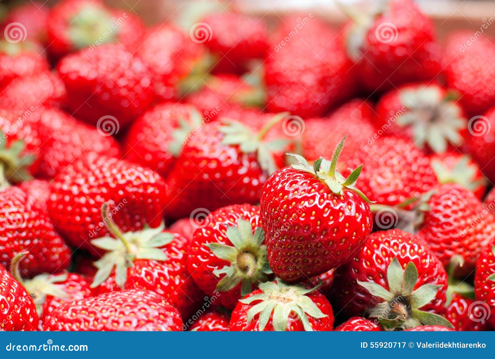 A Bunch of Ripe Strawberries, Side View Stock Image - Image of ripe ...