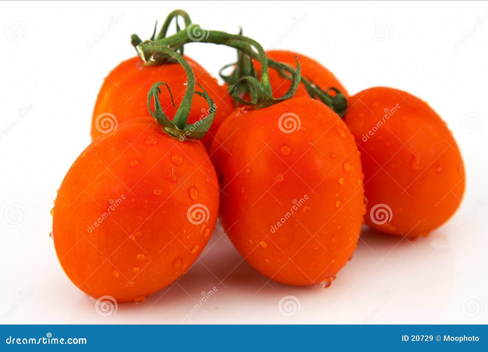 Bunch of Roma Tomatoes stock image. Image of ripe, fresh - 20729