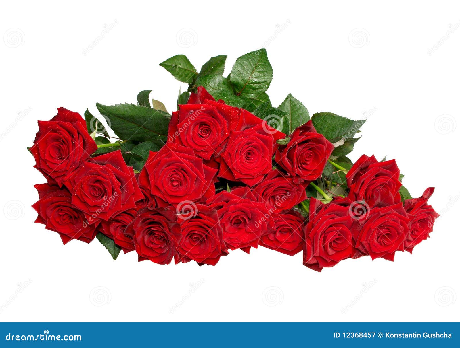Bunch of roses stock image. Image of celebrate, plant - 12368457