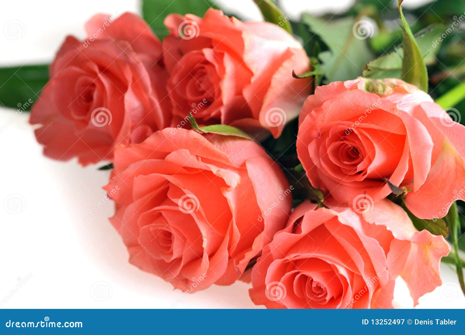 Bunch of roses stock image. Image of birthday, nature - 13252497