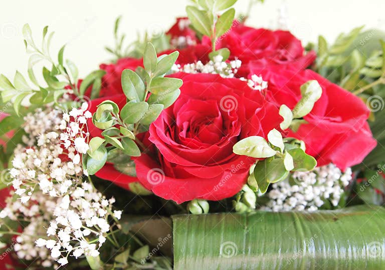 A bunch of roses stock photo. Image of flowers, beauty - 23828490