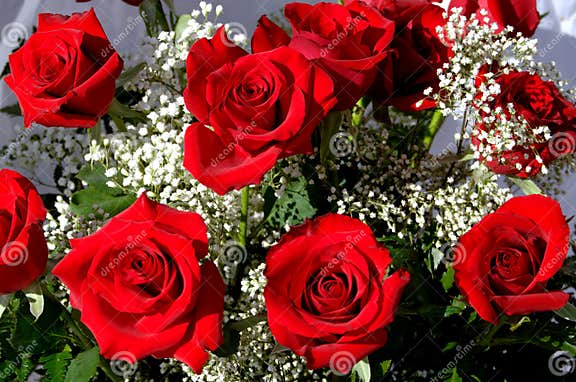 Bunch of Roses stock image. Image of love, roses, flower - 605673