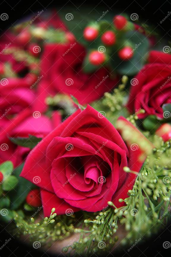 Bunch of roses stock photo. Image of nature, gift, life - 781942
