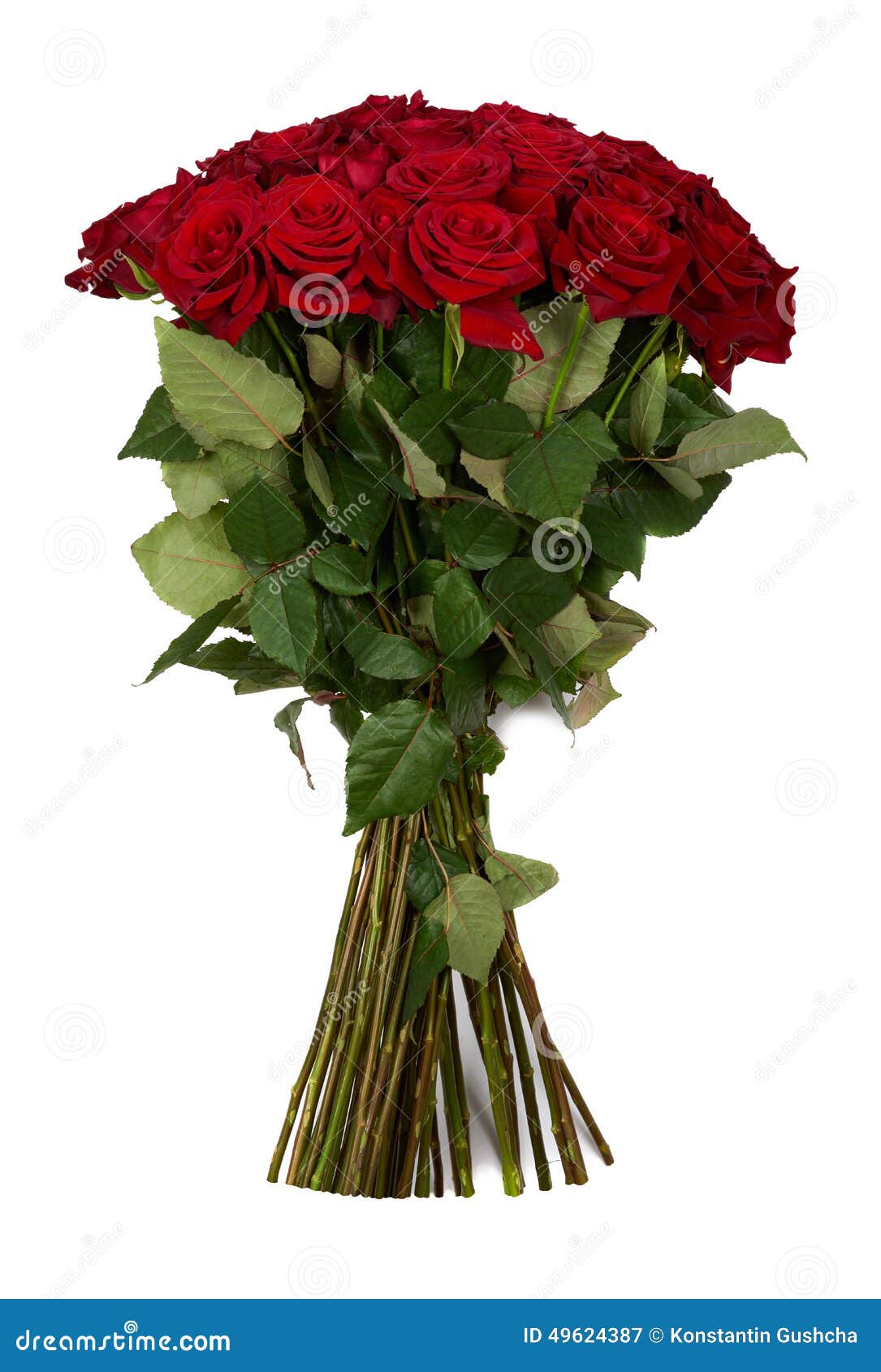Bunch of roses stock image. Image of close, botany, color - 49624387