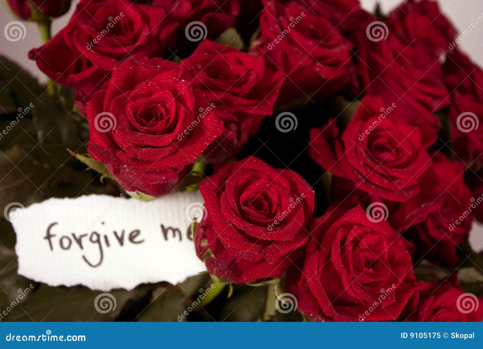 A Bunch of Roses in Vase with Note - Forgive Me Stock Image - Image of ...