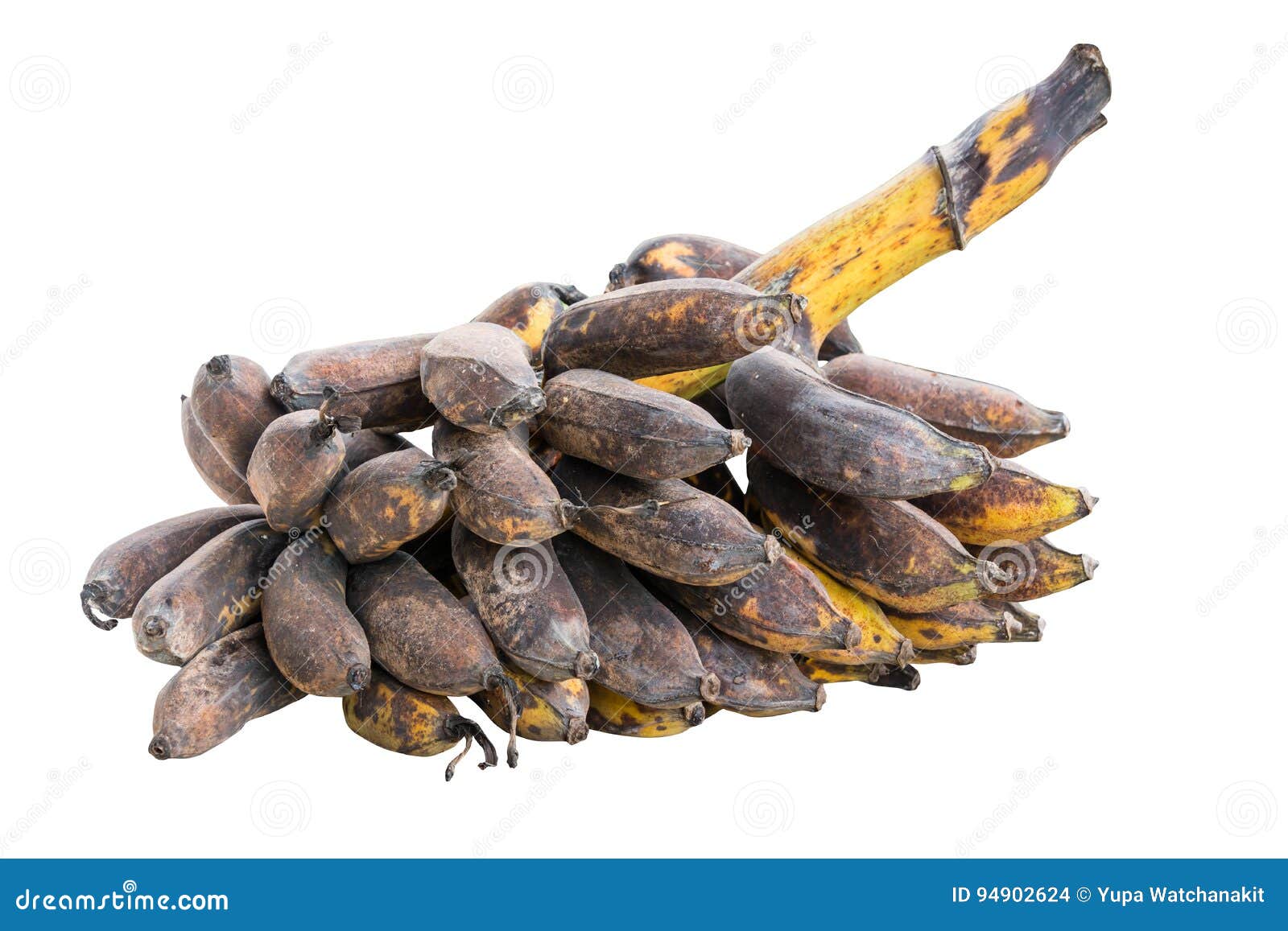 Bunch of rotten banana stock photo. Image of peel, nutrition - 94902624