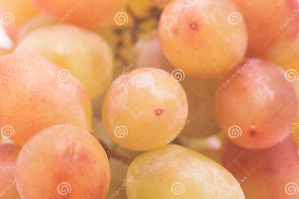Bunch of Ruby Grape stock photo. Image of summer, slice - 75634934
