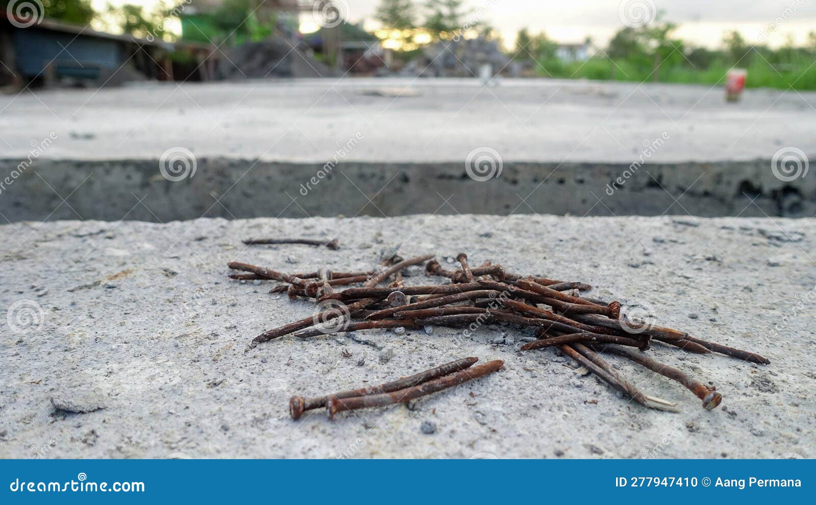 A Bunch of Rusty Nails on the Floor Stock Photo - Image of tree ...