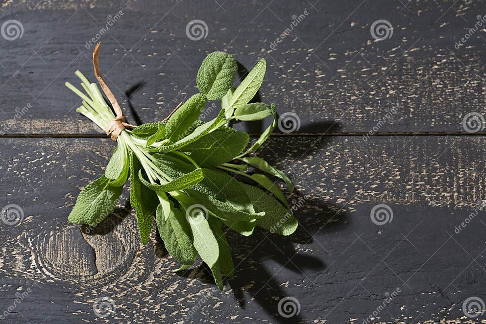 Bunch of Sage on Rustic Wooden Background Stock Image - Image of spice ...