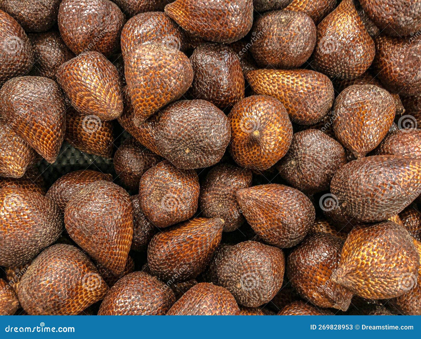 A Bunch of Salak Fruit is Brown with Prickly Skin Stock Image - Image ...
