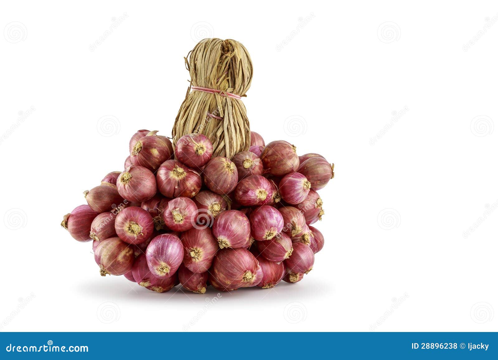 Bunch of shallots stock photo. Image of large, health - 28896238