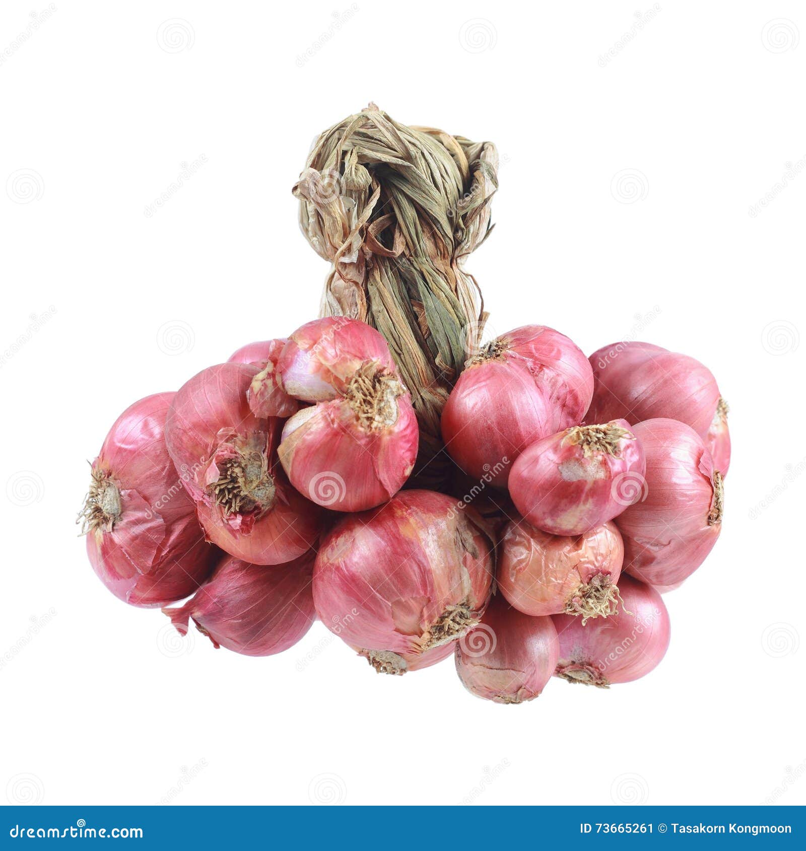 Bunch of Shallots Isolated on White Stock Image - Image of farming ...
