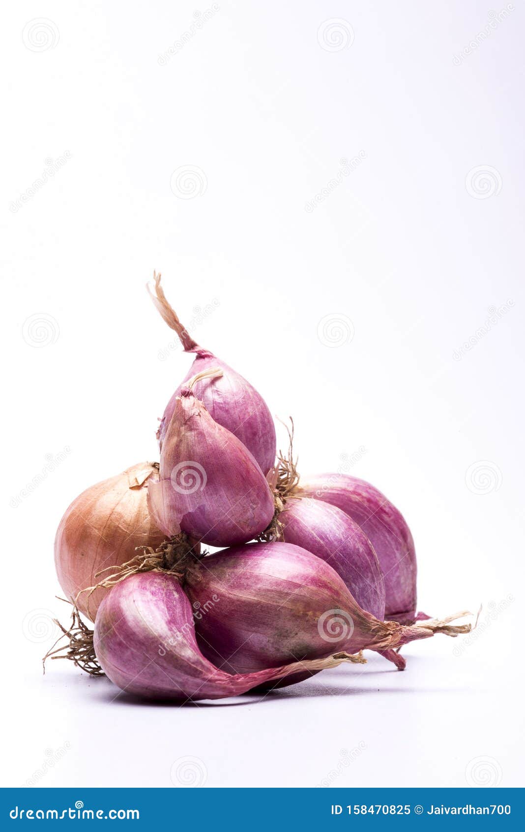 Small Onions Isolated in White Background Stock Image - Image of ripe ...
