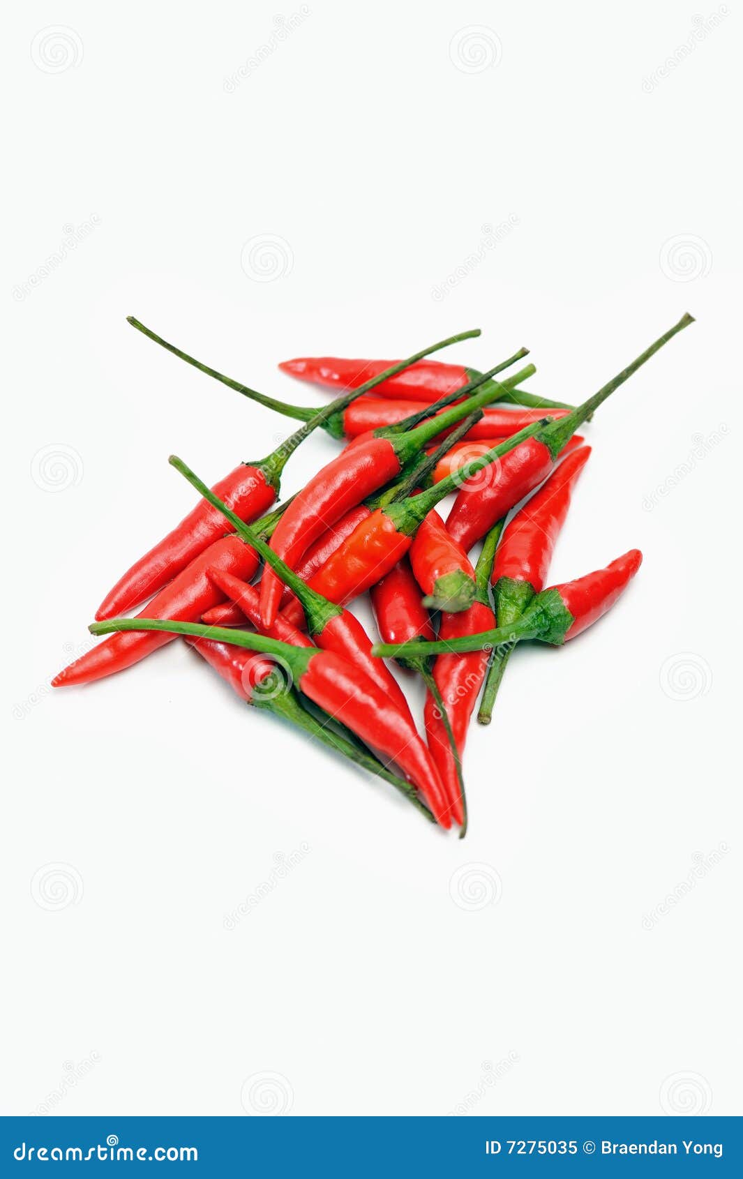 Bunch of Small Spicy Red Chillies Stock Image - Image of ingredient ...