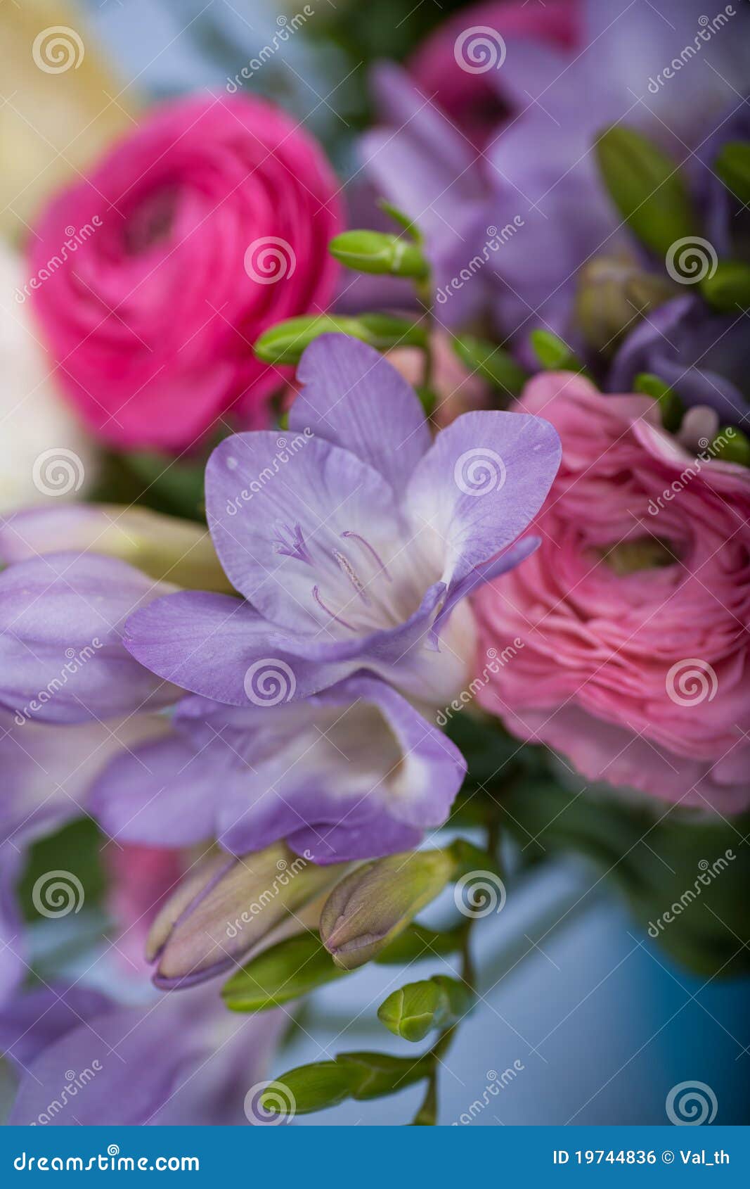 Bunch of spring flowers stock photo. Image of gift, color - 19744836