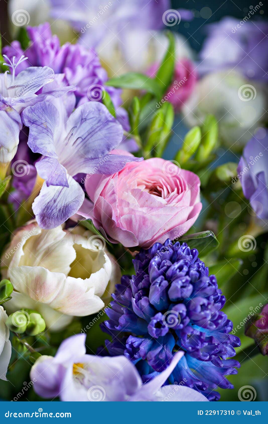 Bunch of spring flowers stock photo. Image of freesias - 22917310