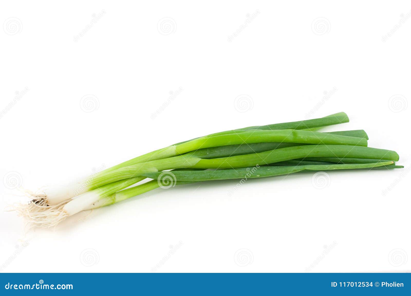 Bunch of Spring Onion Isolated on White Background Stock Photo - Image ...