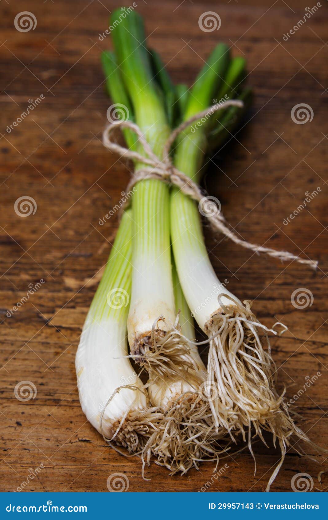 Bunch of spring onion stock image. Image of cooking, gardening - 29957143