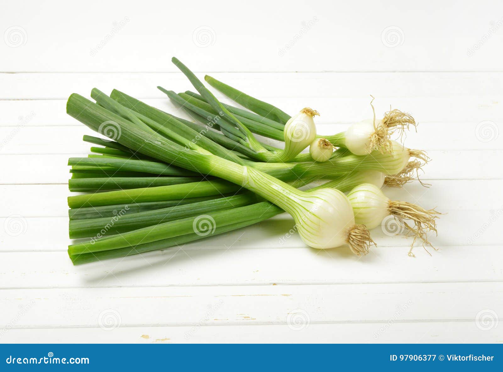 Bunch of spring onion stock image. Image of scallion - 97906377