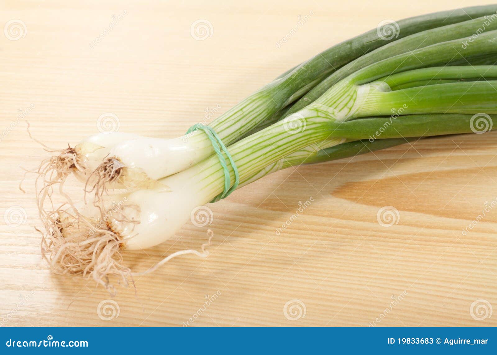 Bunch of spring onions stock image. Image of pungent - 19833683