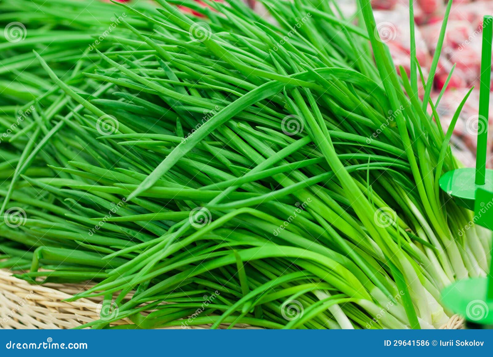 Bunch of spring onions stock photo. Image of groceries - 29641586