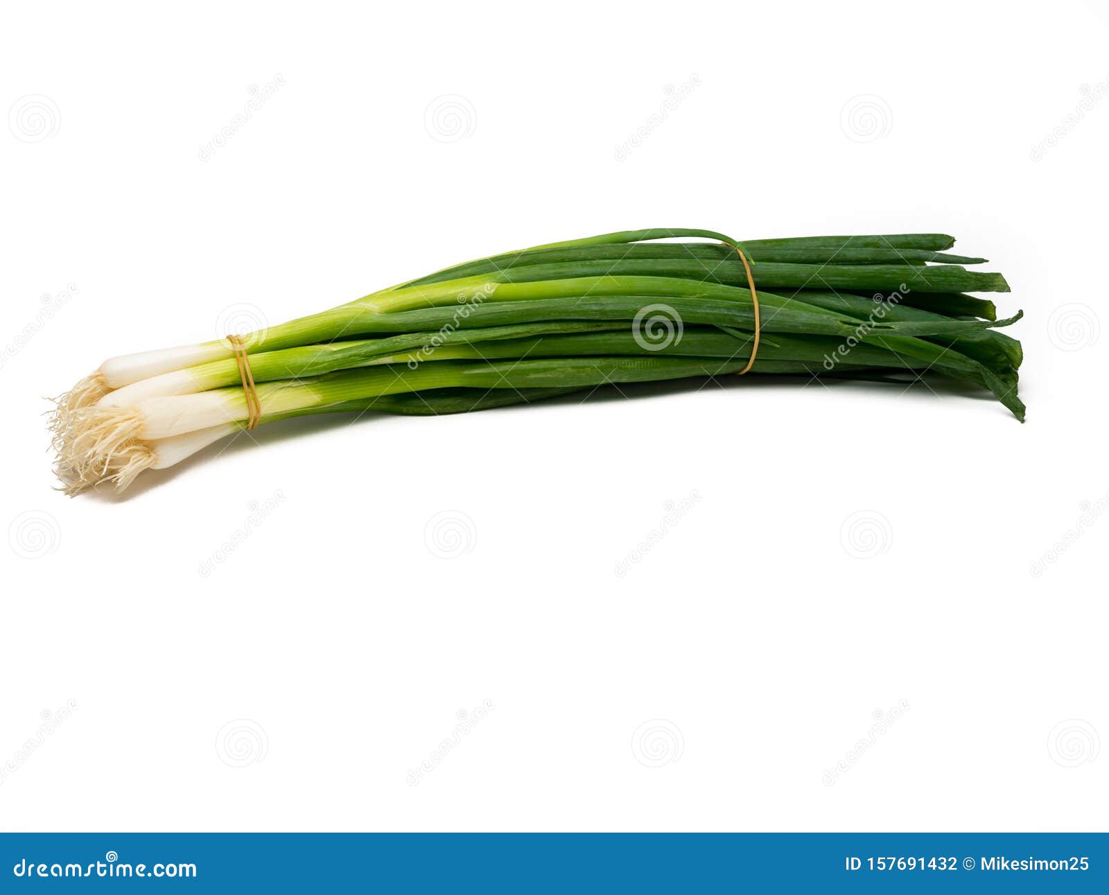 Bunch of Spring Onions Isolated on White Background Stock Photo - Image ...