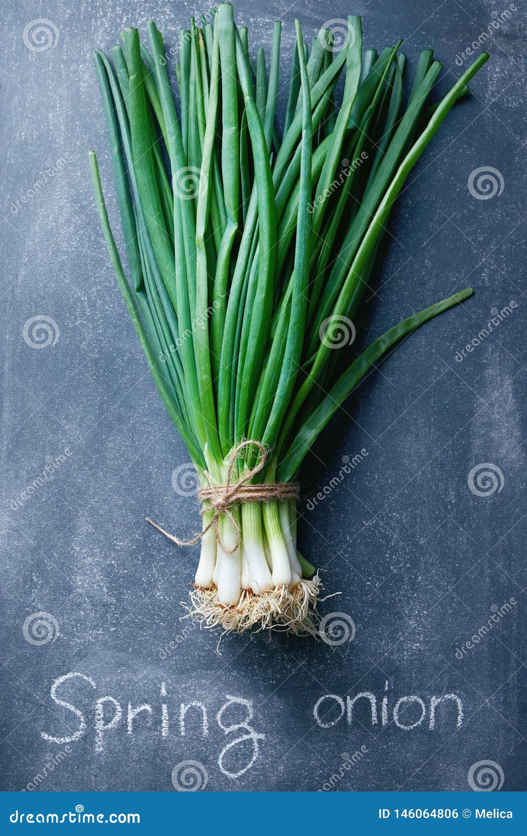 A Bunch of Spring Onions Tied with String on a Chalkboard Surface Stock ...