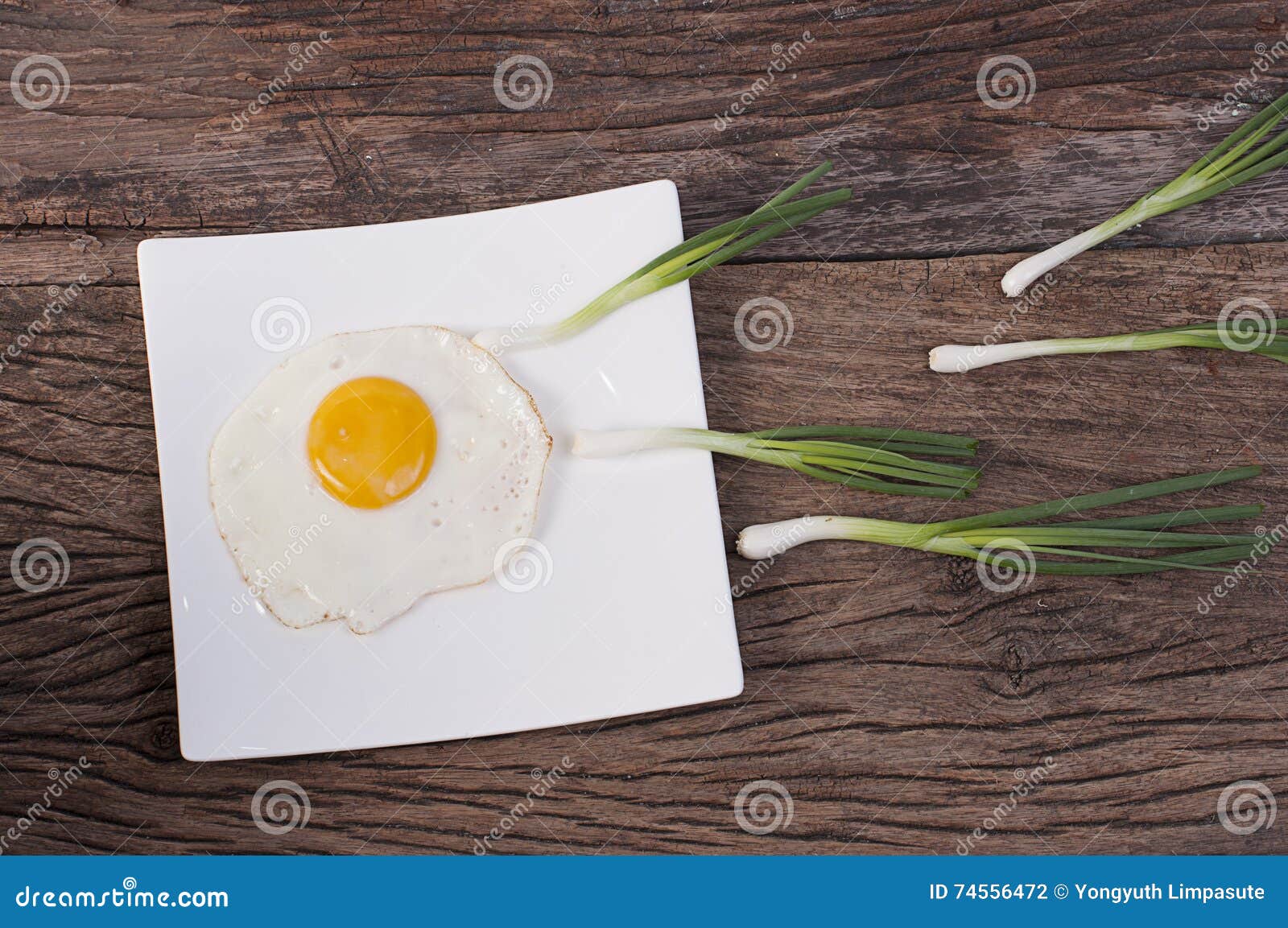 Bunch of spring onions stock photo. Image of spring, relish - 74556472