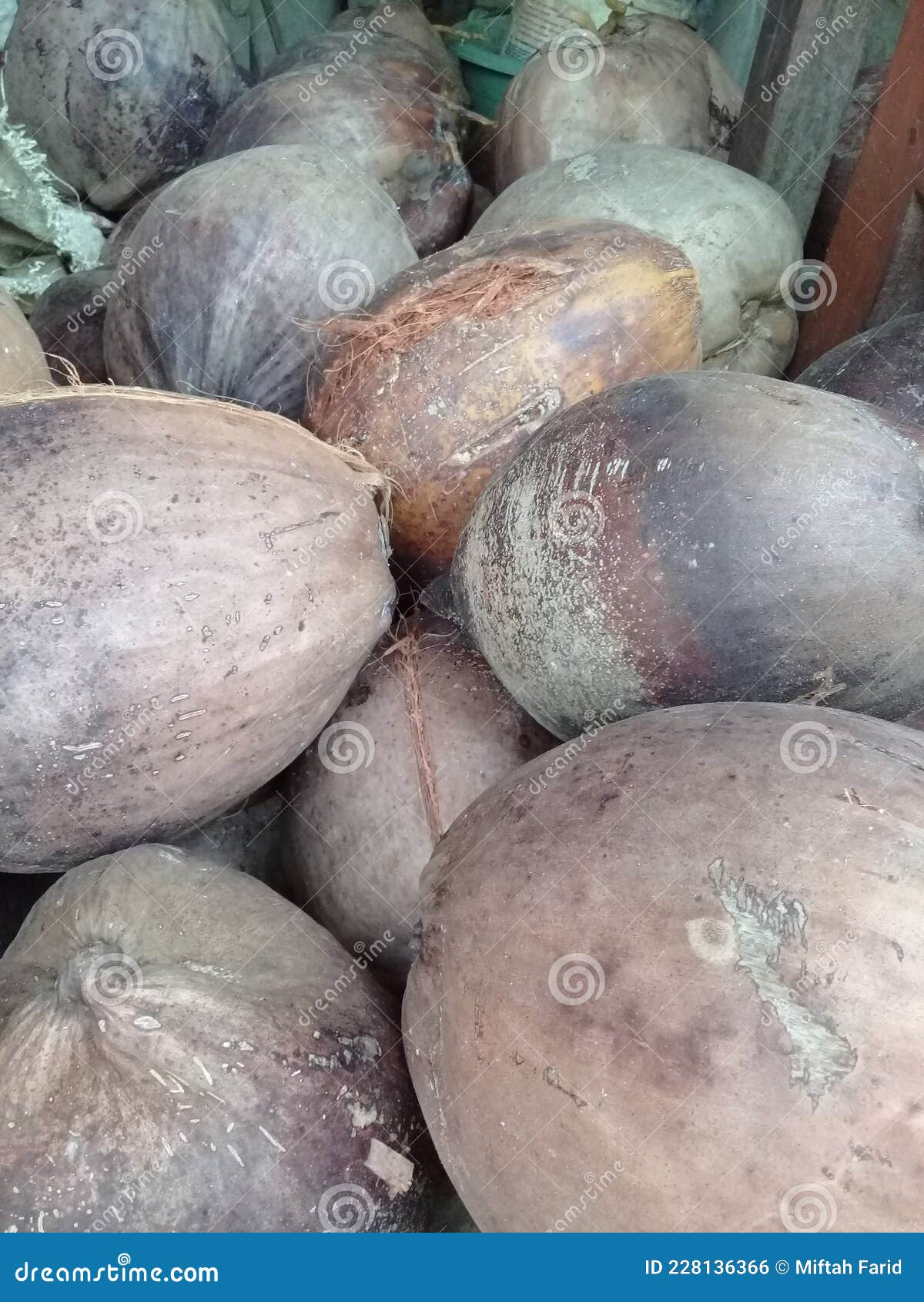 A Bunch of Stacked Coconuts Stock Photo - Image of wood, dish: 228136366
