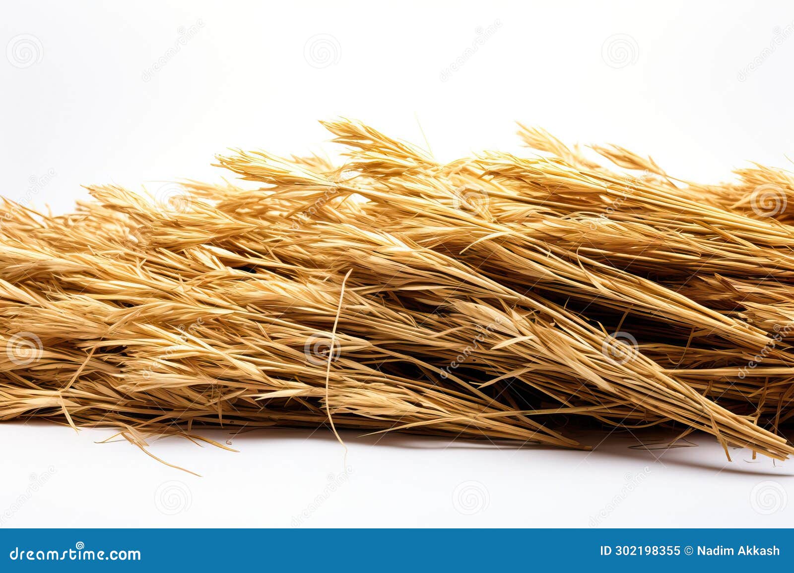 A Bunch of Straw As Border, Isolated with White Background Stock Image ...