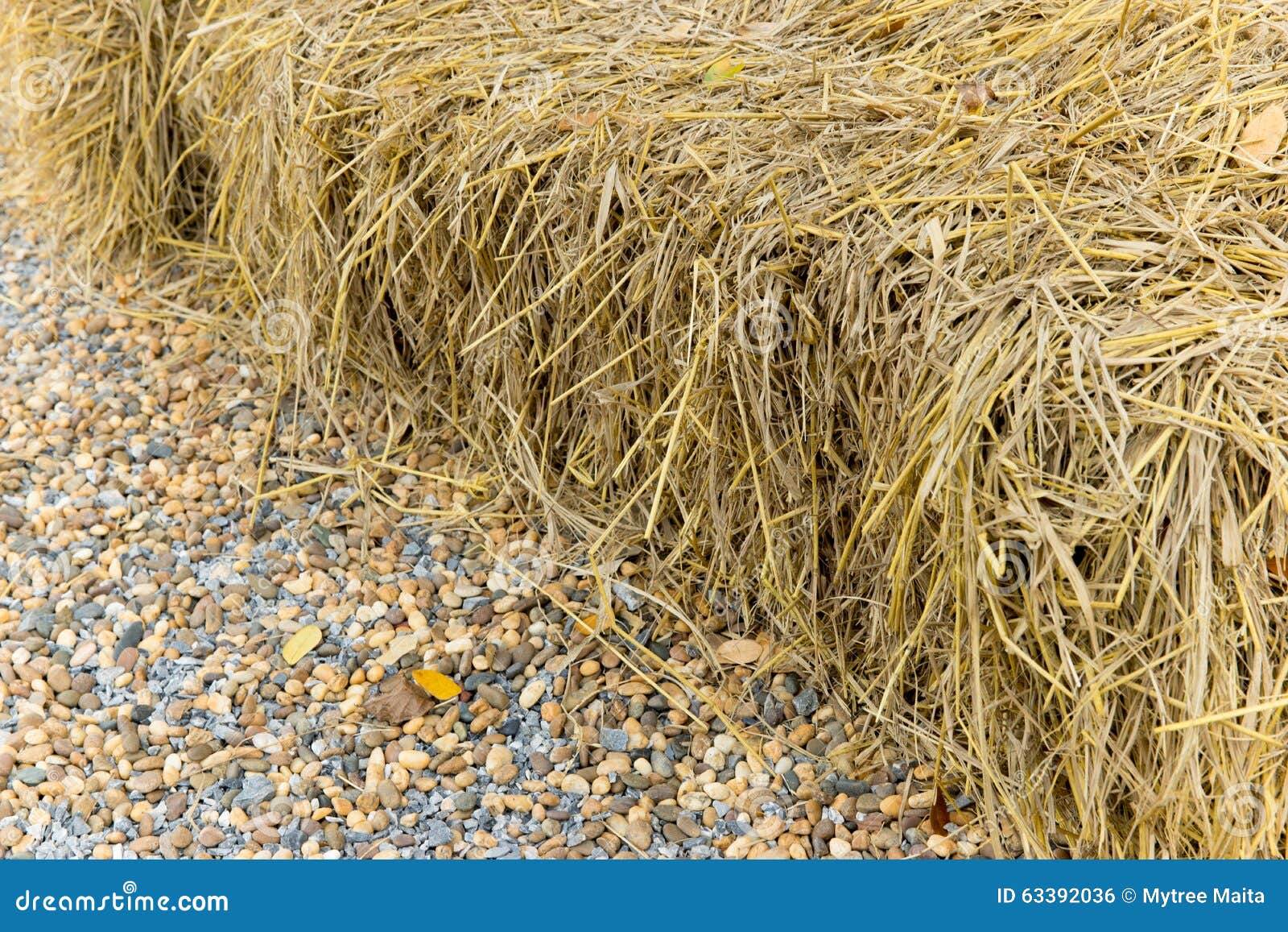 A Bunch of Straw on the Ground. Stock Photo - Image of texture, symbol ...