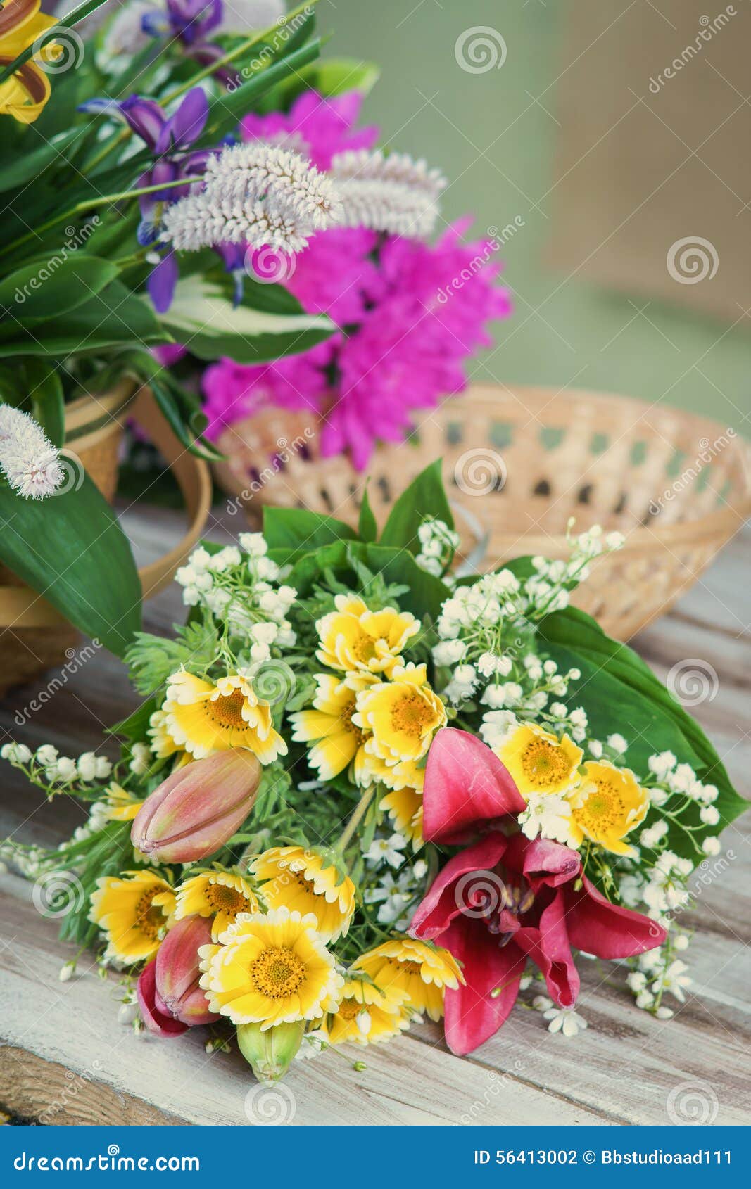 Bunch of summer flowers stock photo. Image of nature - 56413002