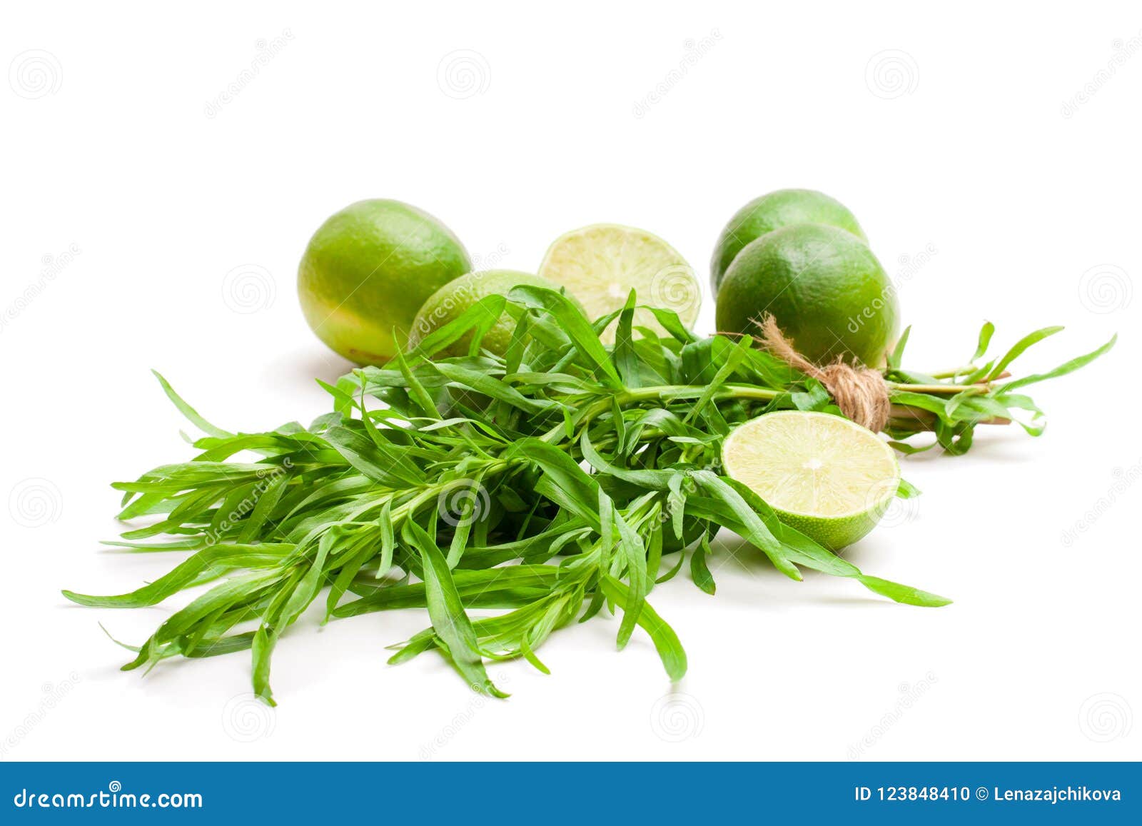 Bunch of Tarragon Plant with Lime Friuts Isolated on White. Stock Photo ...