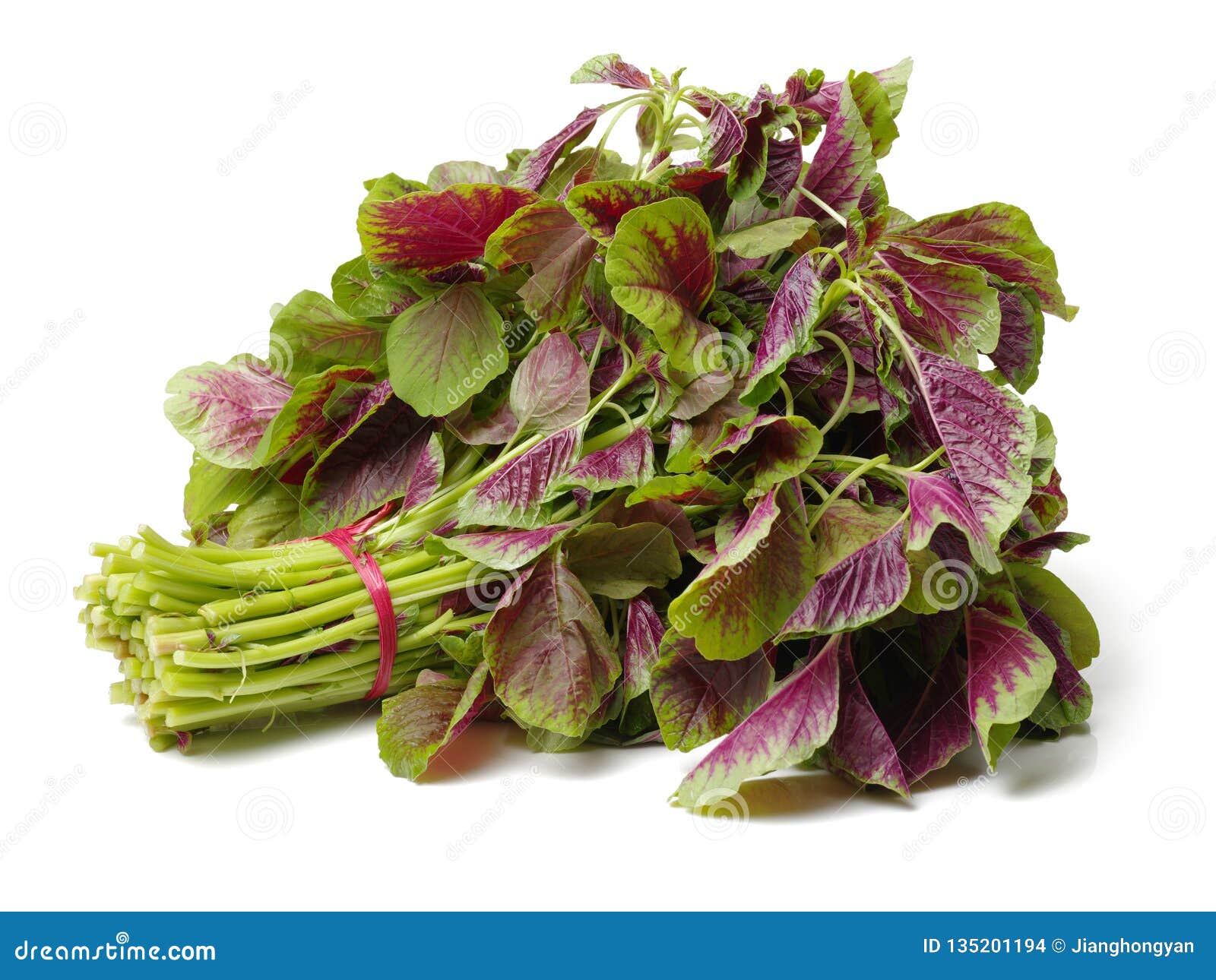 A Bunch Three-colored Amaranth Stock Photo - Image of threecolored ...