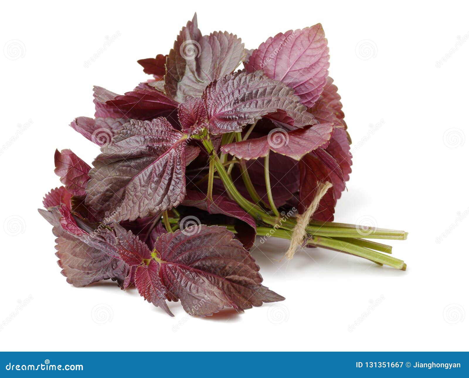A Bunch Three-colored Amaranth Stock Image - Image of farming, amaranth ...