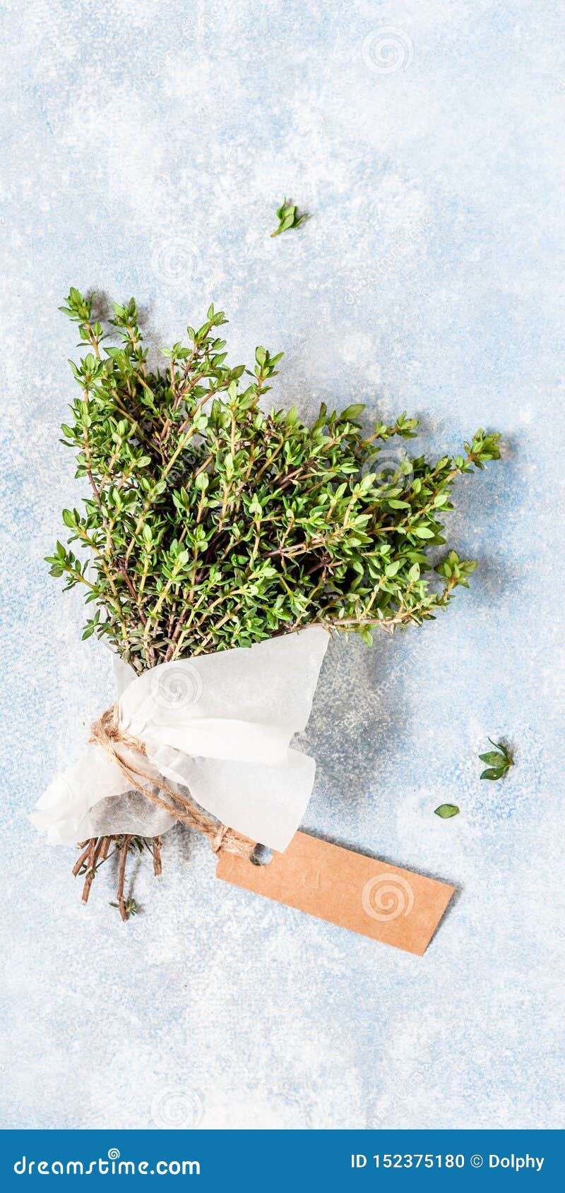A Bunch of Thyme stock photo. Image of blue, bundle - 152375180
