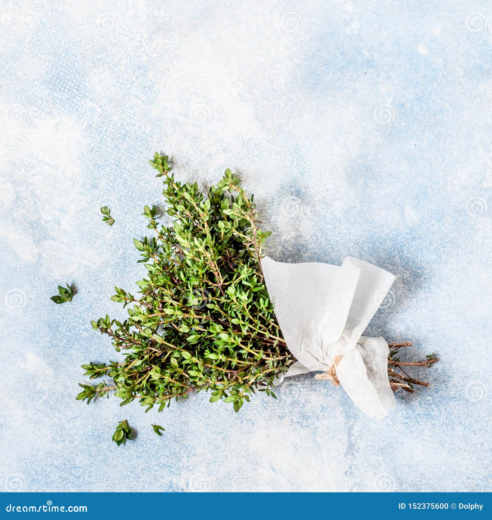 A Bunch of Thyme stock photo. Image of paper, medicine - 152375600