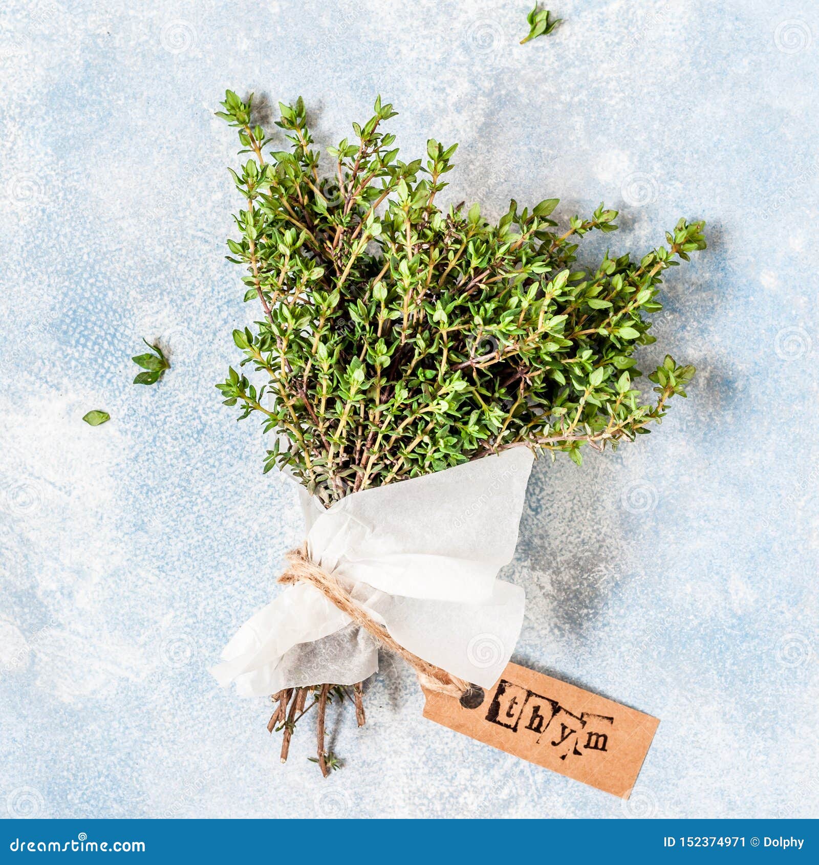 A Bunch of Thyme stock image. Image of garden, leaf - 152374971