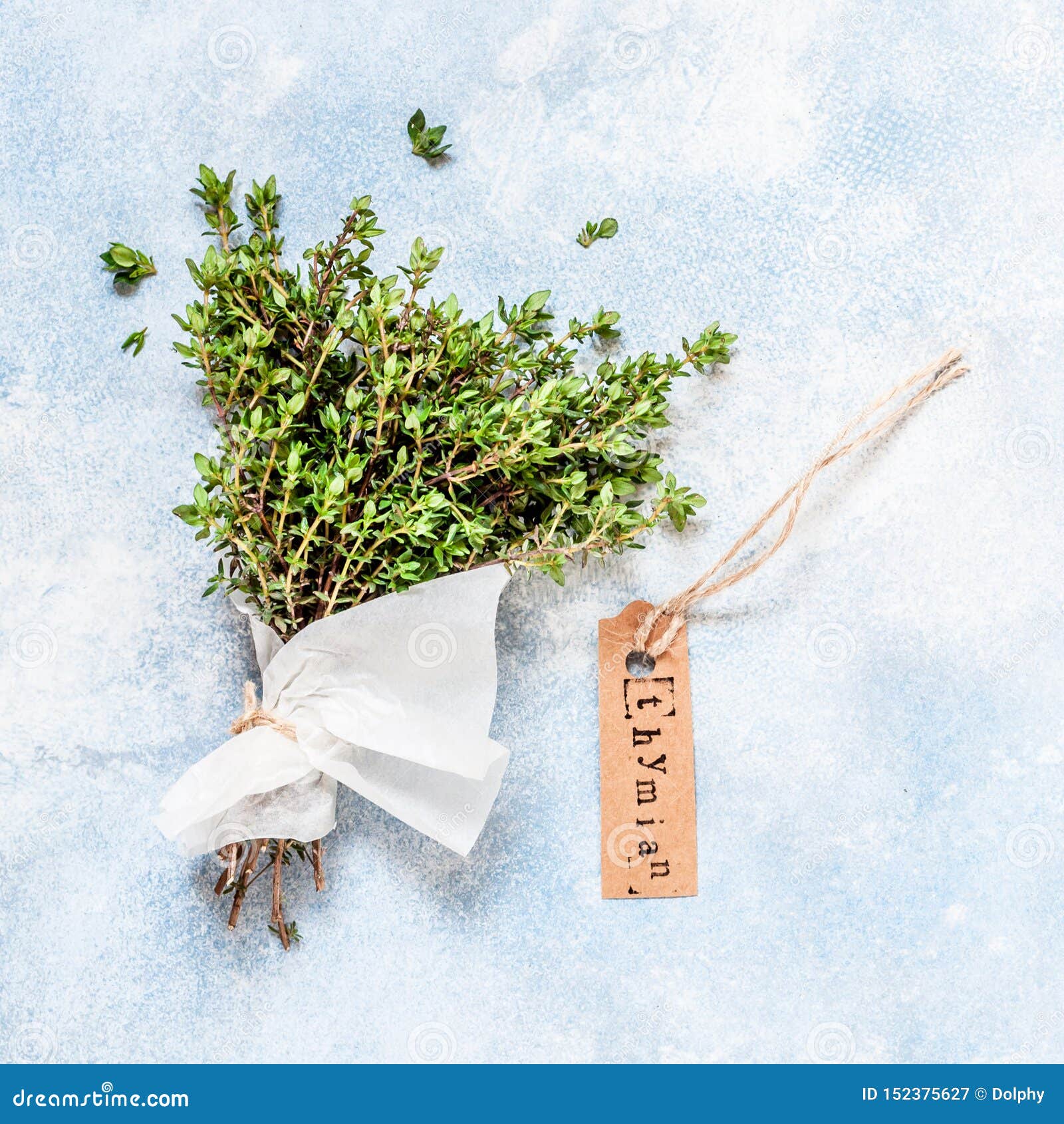 A Bunch of Thyme stock image. Image of german, food - 152375627