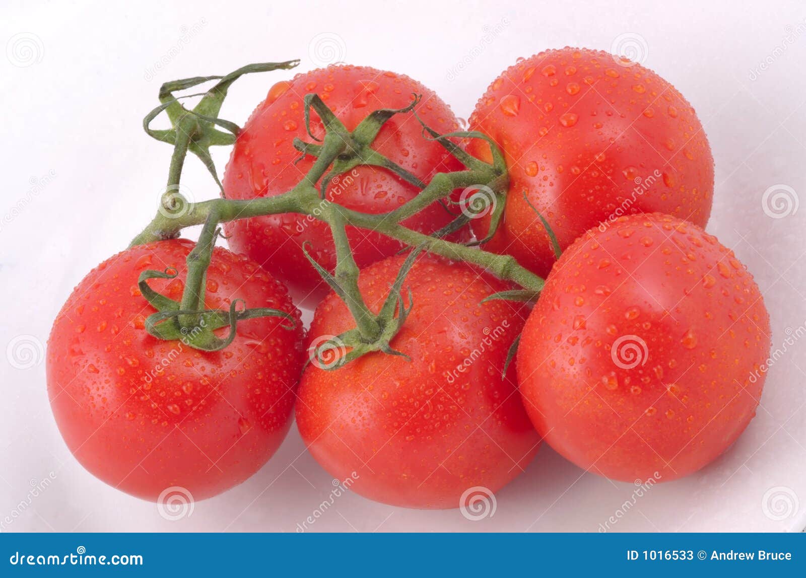 Bunch of tomatoes stock image. Image of gourmet, cooking - 1016533